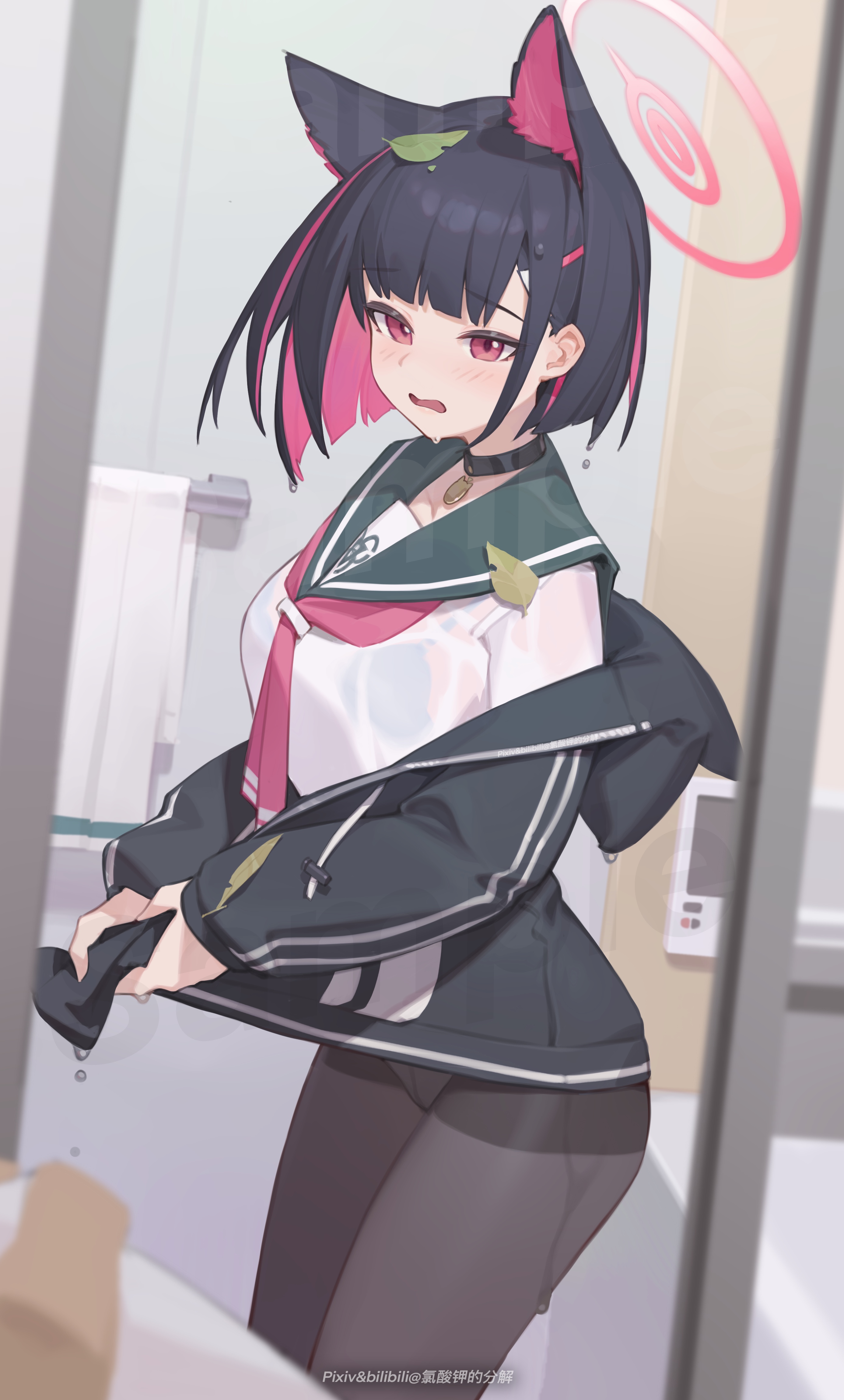 bilibili xiaolu blue archive kyouyama kazusa animal ears bra halo nekomimi pantsu pantyhose ...